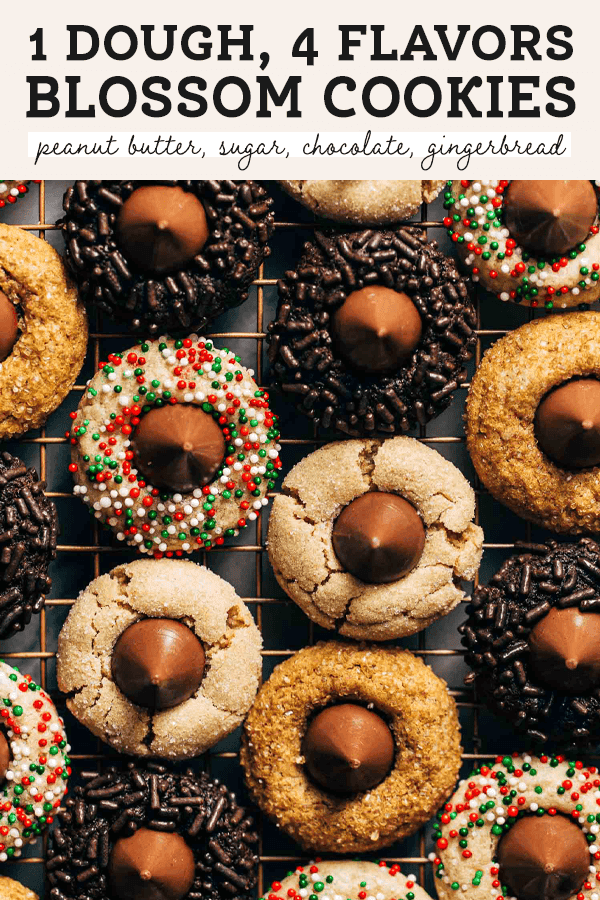 Blossom Cookies - 1 Dough Makes 4 Flavors!