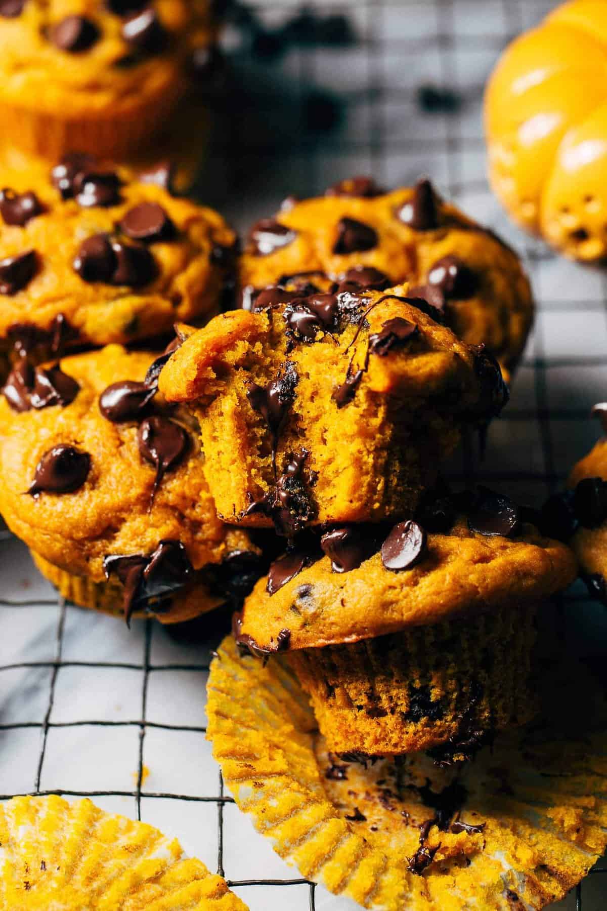 MOIST Pumpkin Chocolate Chip Muffins - Butternut Bakery