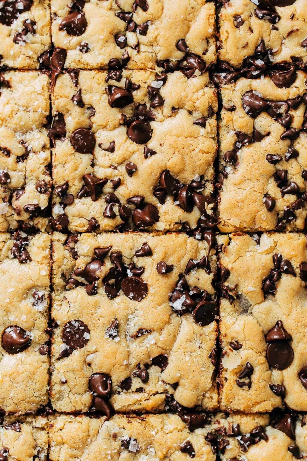 The BEST Brookies - Butternut Bakery
